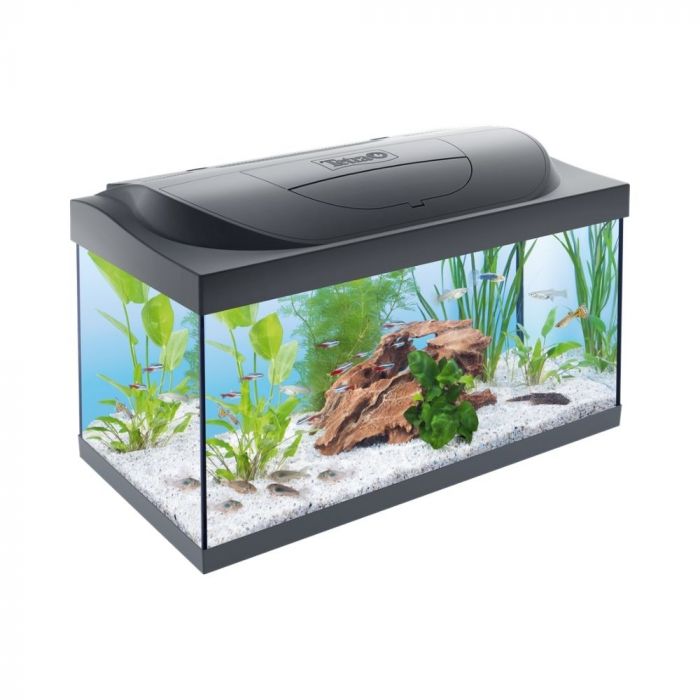 Tetra akvarij za ribe Starter Line | Za tropske ribice | 54 litre | Za ...