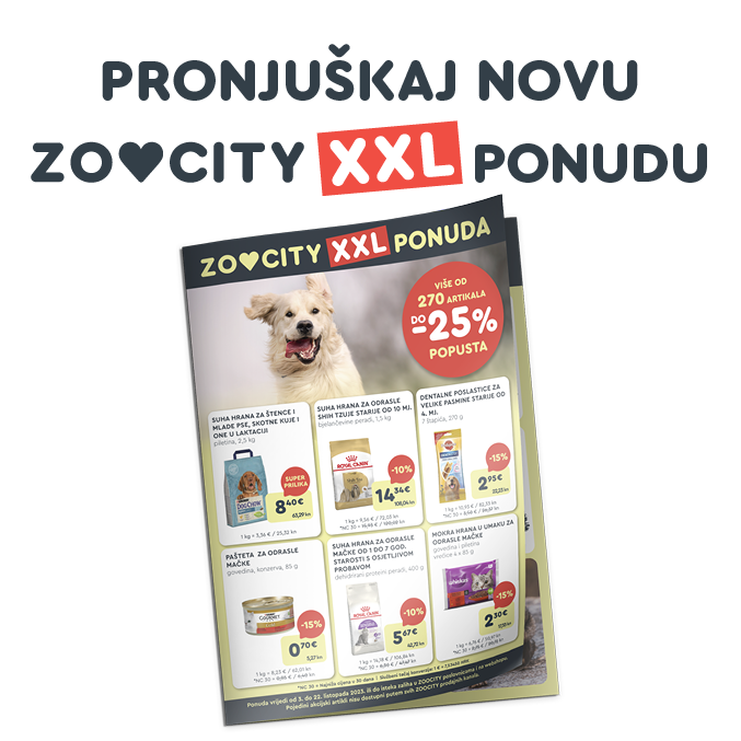 ZOOCITY - webshop za kućne ljubimce