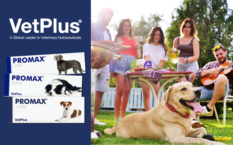 VetPlus Promax – pasta za zaustavljanje proljeva | ZOOCITY