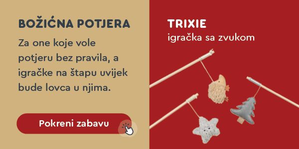 Lov na šapasto blago | Božićna ZOOCITY nagradna igra - ZOOCITY