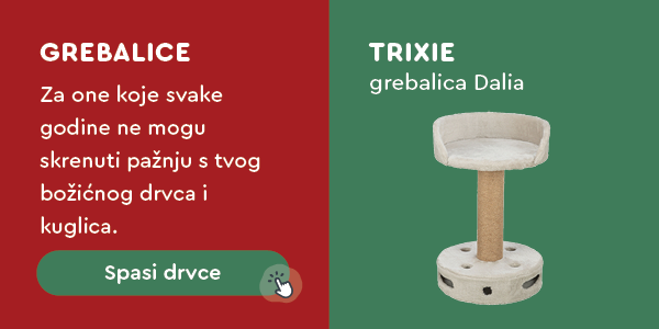 Lov na šapasto blago | Božićna ZOOCITY nagradna igra - ZOOCITY